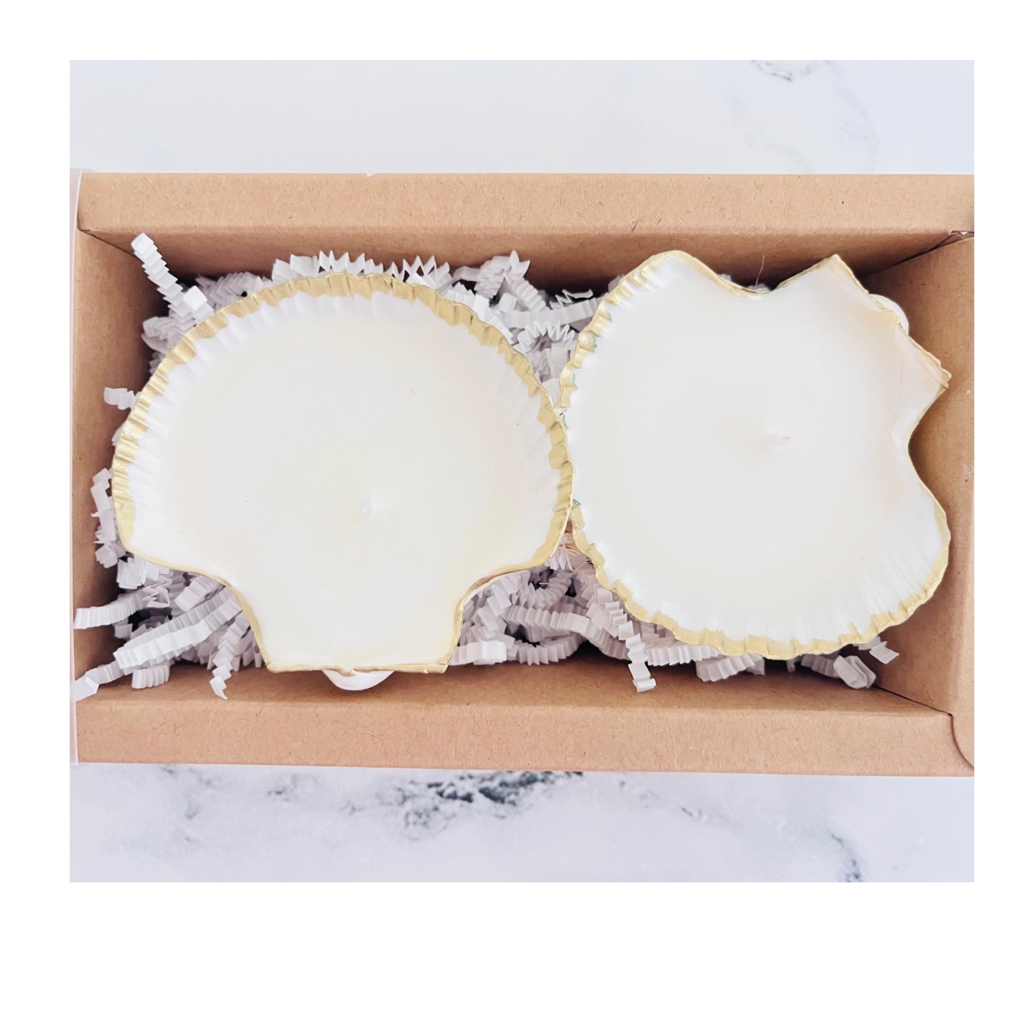 Scallop Shell Tea Light Candle Set – The Carolina Company
